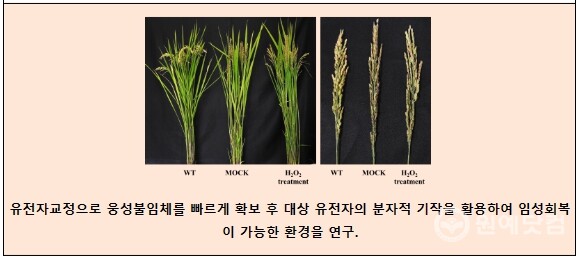농촌진흥청, 2023년 국가연구개발 우수성과 100선 5건 선정